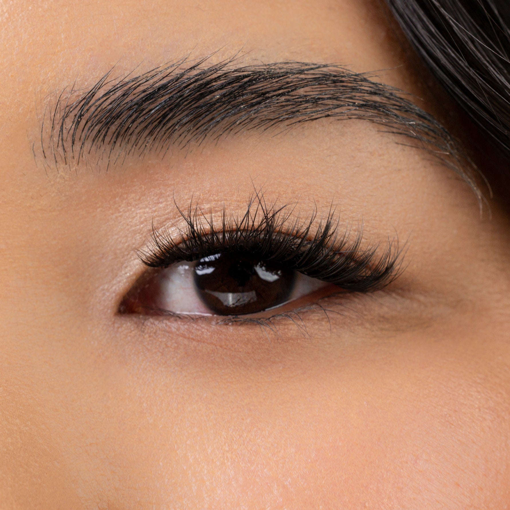 MINI MINX – WinkClique